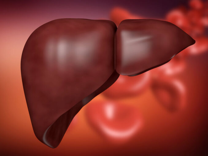 Ztučnění jater se dá léčit přirozeně | Zdravestravovani.eu