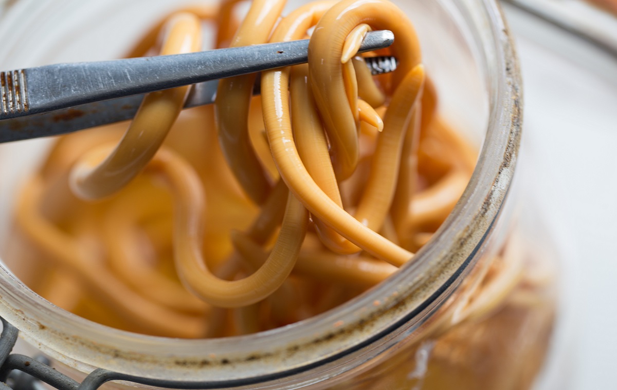 7 příznaků parazita v těle | Zdravestravovani.eu