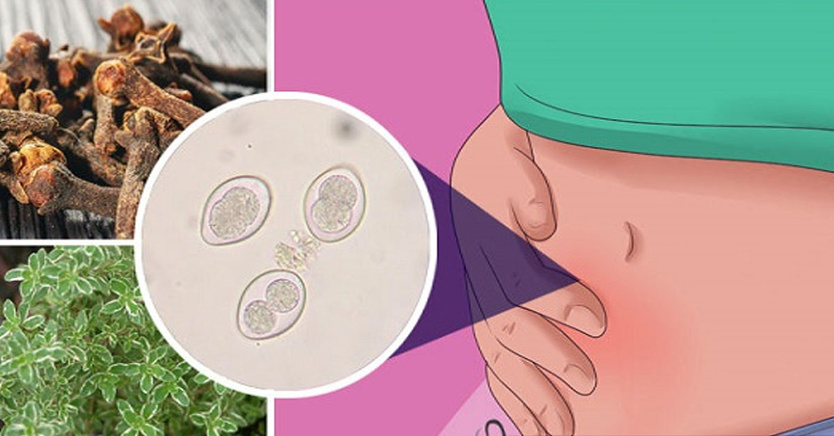 Parazitární infekce v těle | Zdravestravovani.eu