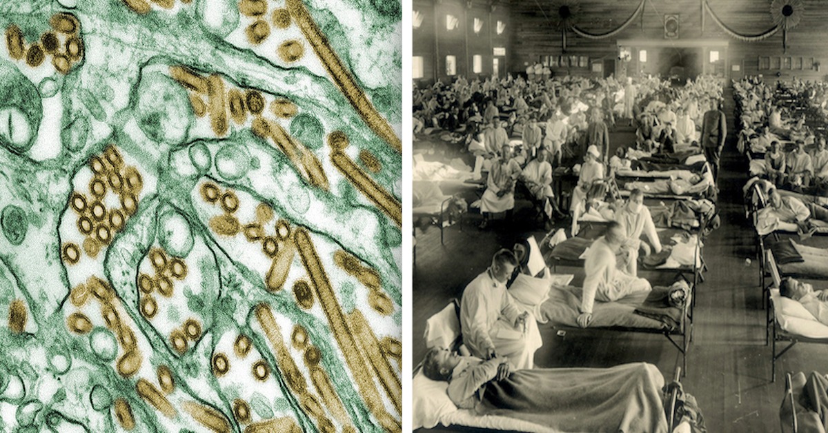 Epidemie, které nás trápily ve 20. století | Zdravestravovani.eu