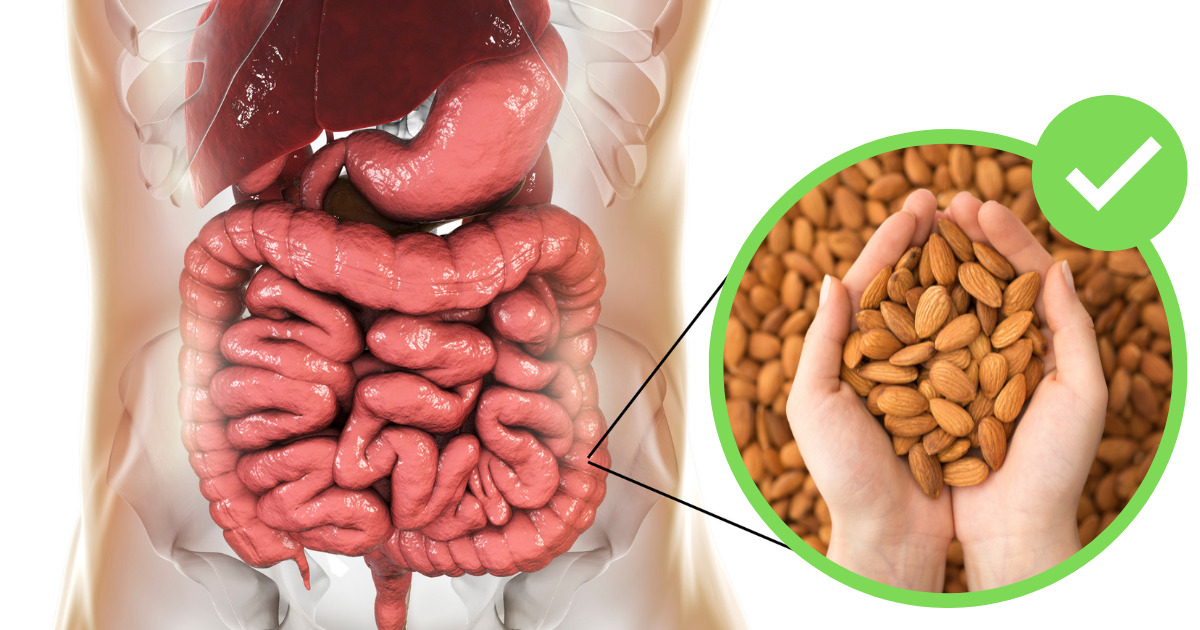 Pro prevenci zácpy zařaďte do jídelníčku jednu důležitou potravinu