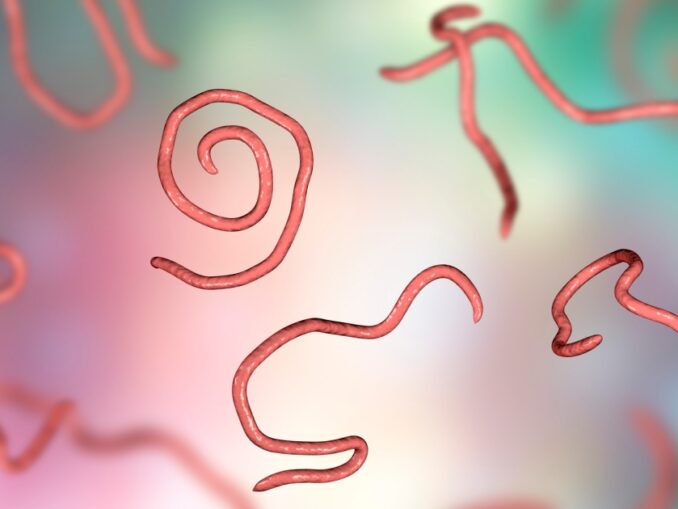 Pokud vás trápí tyto příznaky, vaše tělo je doslova plné parazitů