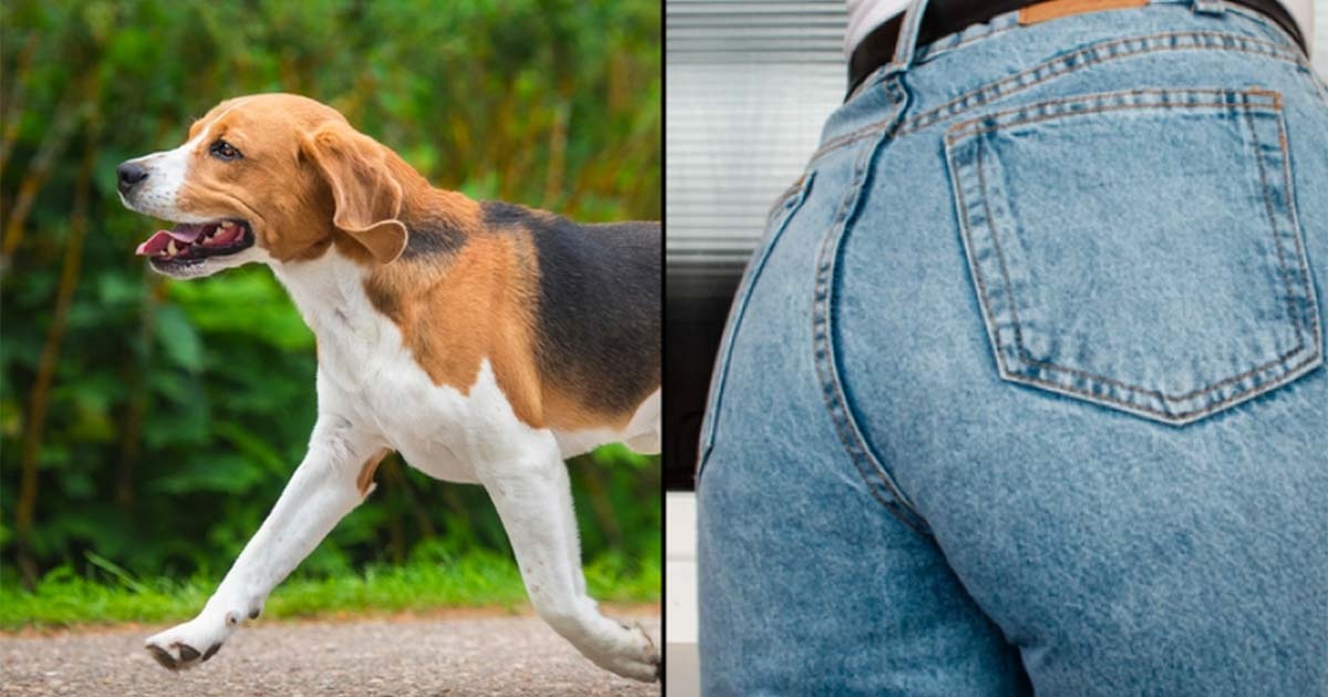 Pes jí neustále očichával zadek, a to z velmi dobrého důvodu